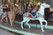 Beech Bend Park, KY - Tolchester, MD - 1909 Dentzel Menagerie ...
