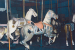 Belchertown Stein & Goldtesin CarouselCarouselHistory.com