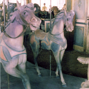 1905-PTC-9-carousel-horses-Pine-Grove-1980-Barbara-Williams-photo-7 ...