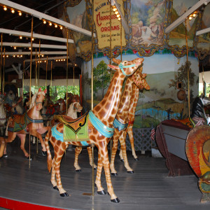 ca-1900-Dentzel-carousel-giraffe-Weona-Park-Pen-Aryl - CarouselHistory ...