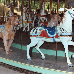 Beech-Bend-park-Dentzel-carousel-tiger-Farnsworth-photo ...